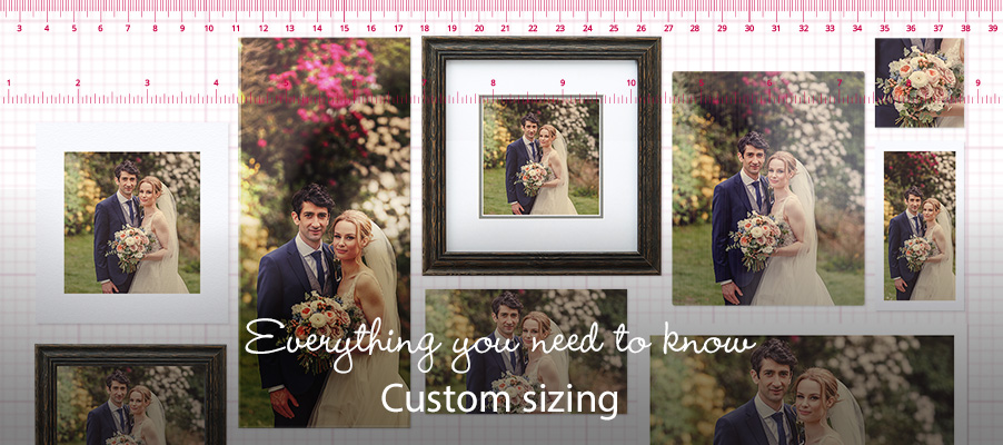 Custom_feature – The Loxley Colour Blog